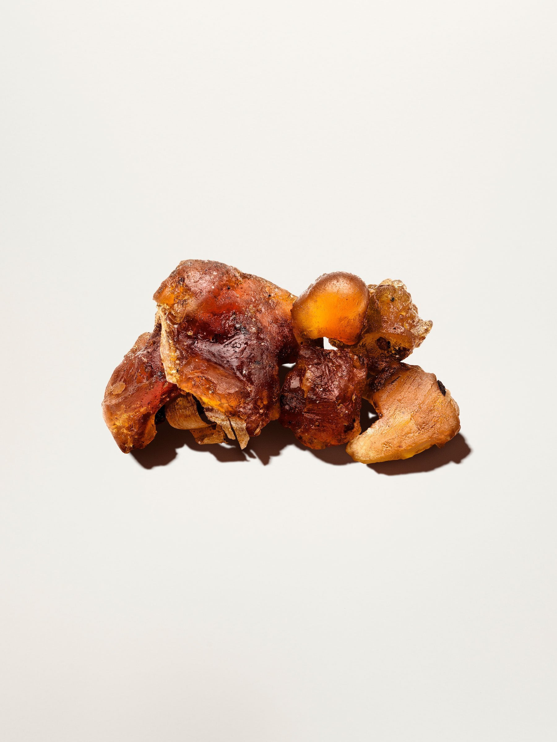 Guggul resin – Zelens EU